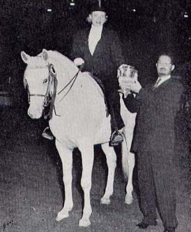 Photo: RADIANT #8809 (Rifraff 4350 x Frankokhla 1646, by Kokhleson 879 ...