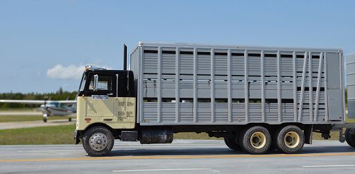 Wagner Transportation Co - Peterbilt 352 and Wilson Trailer Co body ...