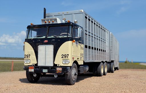 Wagner Transportation Co - Peterbilt 352 and Wilson Trailer Co body ...