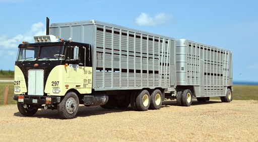 Wagner Transportation Co - Peterbilt 352 and Wilson Trailer Co body ...