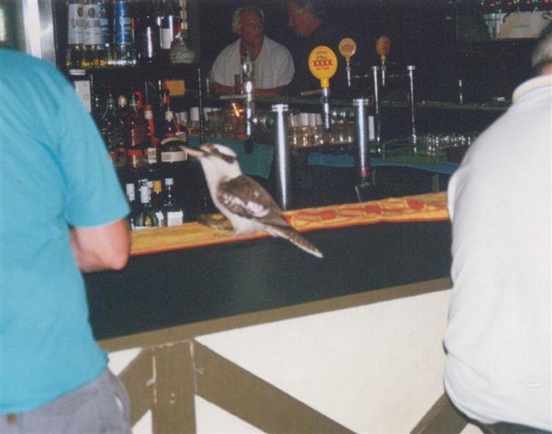 Aussie Pubs album | ooO(PETER)Ooo | Fotki.com, photo and video sharing ...